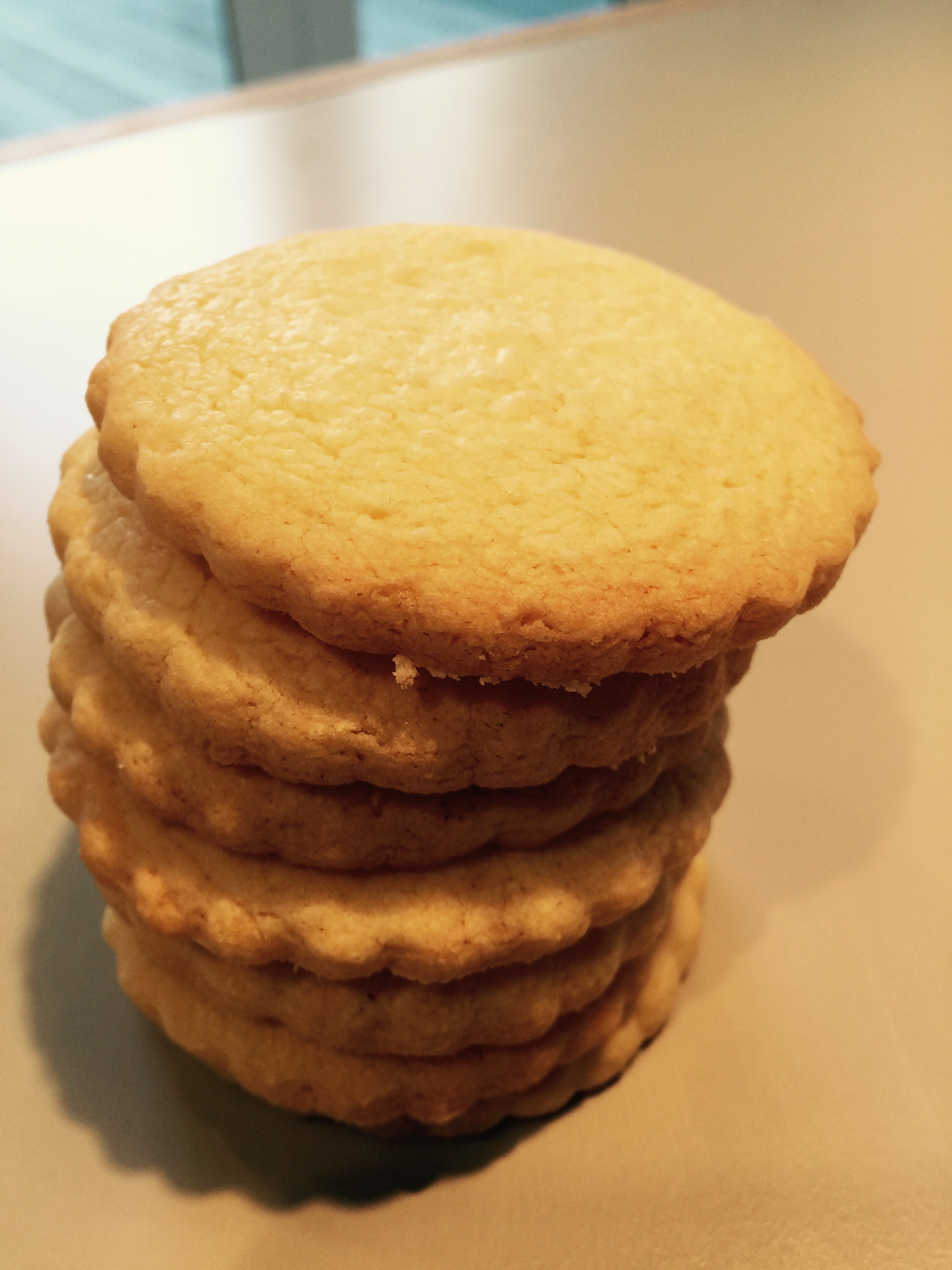 The Hundreds and Thousands Biscuit | the things not said