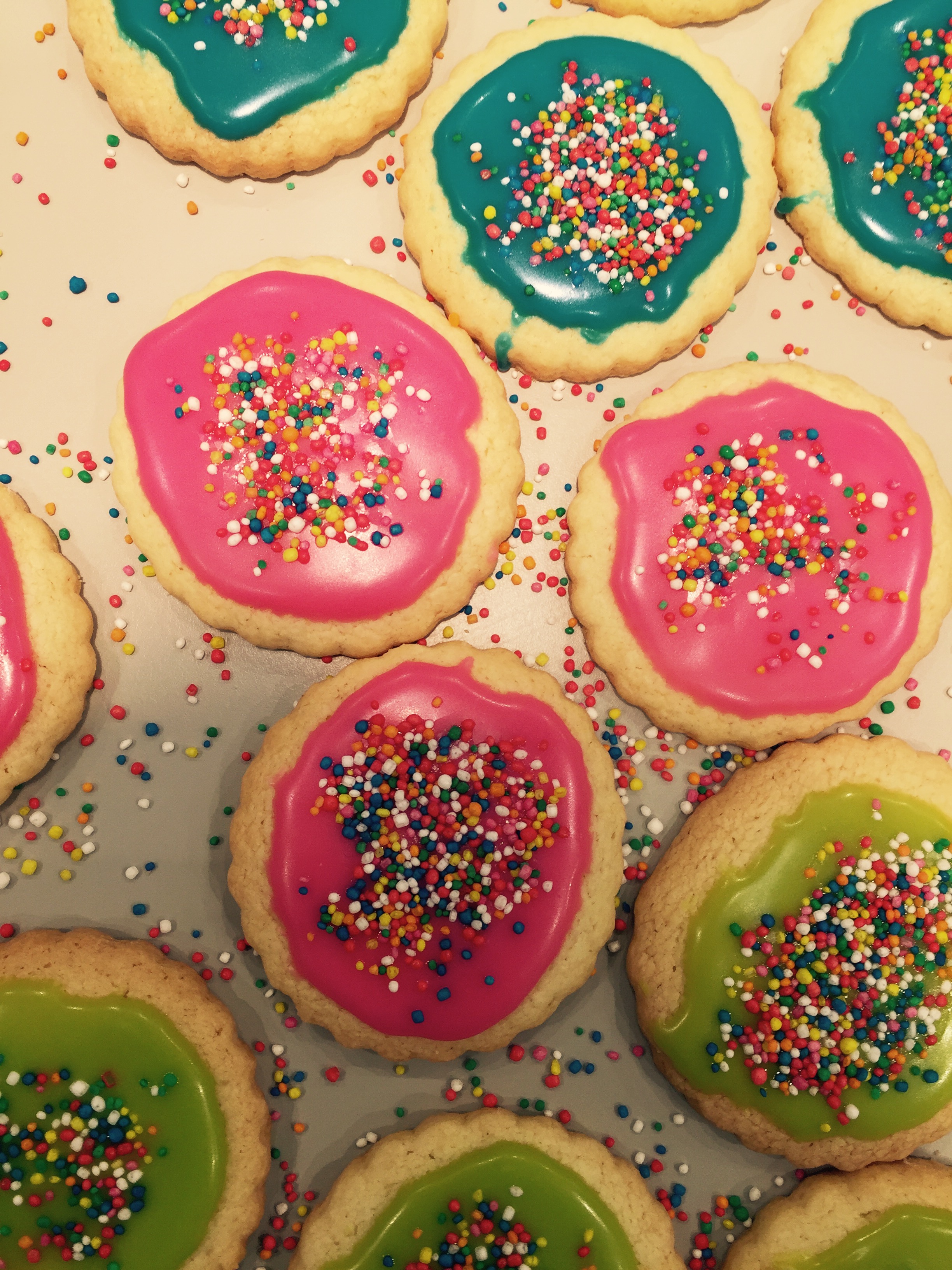 The Hundreds and Thousands Biscuit | the things not said